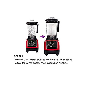 Salton Compact Power, Red Blender, 1.2 Liters (BL1638R)