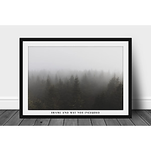 Forest Photography Print (Not Framed) Picture of Treetops Shrouded in Fog on Foggy Day at Clingmans Dome North Carolina Tennessee Ethereal Wall Art Great Smoky Mountains Decor (4" x 6")