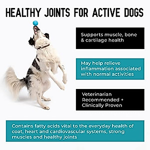 ACTIVPHY Hip + Joint Supplement with Glucosamine, MSM, and Blue Green Algae Extract, Vet Formulated, Anti-Inflammatory, Arthritis Relief, & Antioxidants, Made in USA, For Dogs, 75 ct