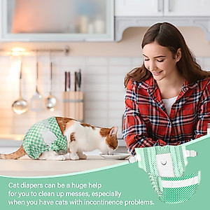 Pet Soft Disposable Cat Diapers - Female Dog Diapers for Cats & Dogs in Heat Period or Urine Incontinence, Doggie Diapers Ultra Absorbent Leak-Proof Puppy Diapers 24pcs (Green, XS)