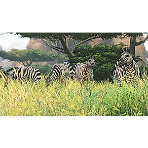 Cabela's African Adventure - Xbox One