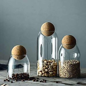 MOLADRI 1200ML/40Oz Clear Glass Storage Cute Canister Holder Ball Wood Cork Top, Modern Decorative Cylinder Container Jar with Round Lid for Coffee, Spice, Candy, Salt, Cookie Cool Terrarium Bottle