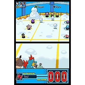 Pokemon SoulSilver Version