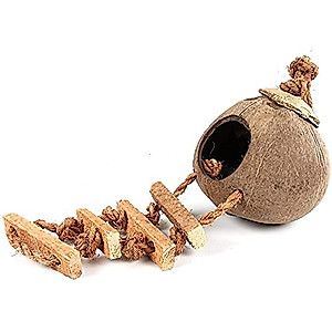 Hanging Bird House with Ladder,Natural Coconut Fiber Shell Bird Nest Breeding for Parrot Parakeet Lovebird Finch Canary,Coconut Hide Bird Swing Toys for Hamster,Bird Cage Accessories,Pet Bird Supplies