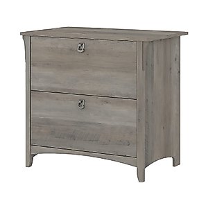 Bush Furniture Salinas Lateral 2 Cabinet Filing Drawer | Home Office Storage Organizer, Driftwood Gray