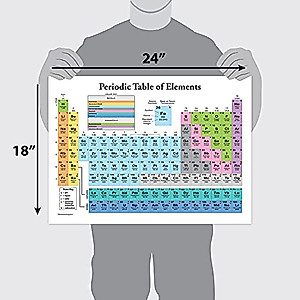Palace Learning 3 Pack - Periodic Table of the Elements Poster [White] + Muscular & Skeletal System Anatomy Charts (LAMINATED, 18" x 24")