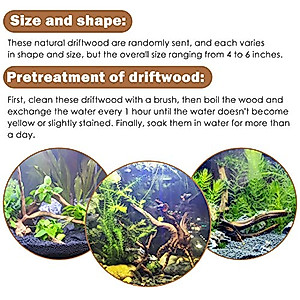 SERJOOC 6Pcs Aquarium Driftwood Spider Wood Ornament for Fish Tank Natural Branches Decorations (4in-6in)