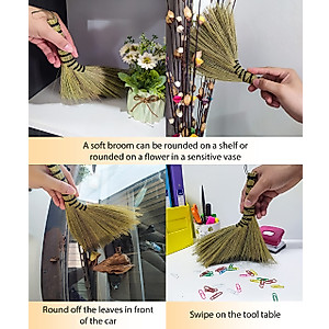 Small Whisk Broom,Handmade Turkey Wing Whisk Broom 12" for Cleaning,Sturdy Soft Brush,Bristle Design Cleans Dust Dirt & Debris Brush Head/Perfect for Indoor Outdoor and Car