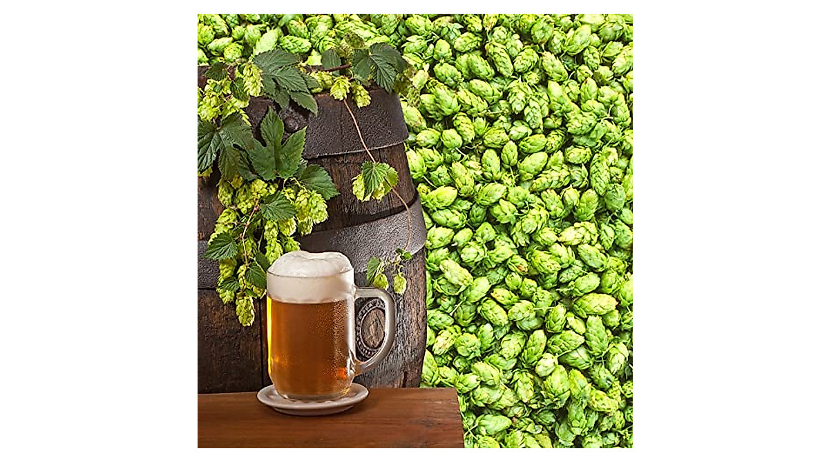 Grow Organic Hops Seeds: Fast & Hardy Perennial Vine