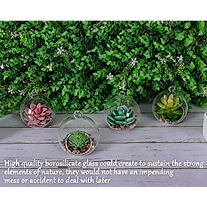 TQVAI 4 Pack Hanging Glass Globe Air Planter Terrarium Vase with 39 inch Sling (Not Included The Plants)