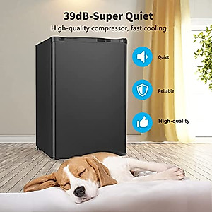 N A 4.5 Cu.Ft Mini Refrigerator Compact Refrigerator-Small Drink Food Storage Machine for Dorm, Garage, Camper, Basement or Office, Single Door Mini Fridge, stainless steel (Black)