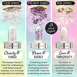 Zentrinsic Crystal-Infused-Water-Bottle, Inc 3 crystals- Rose-Quartz-Clear-Quartz & Amethyst Eco-Friendly and perfect for yoga-meditation-reiki-spiritual-gifts Healing Stones and Elixir Energy 16.9 oz