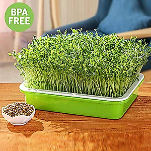 2 Pack of BPA Free Home Microgreen Soilless Hydroponics Seed Sprouter Grow Tray with Cover + Free Spray Bottle and 20 Sheets Growing Paper