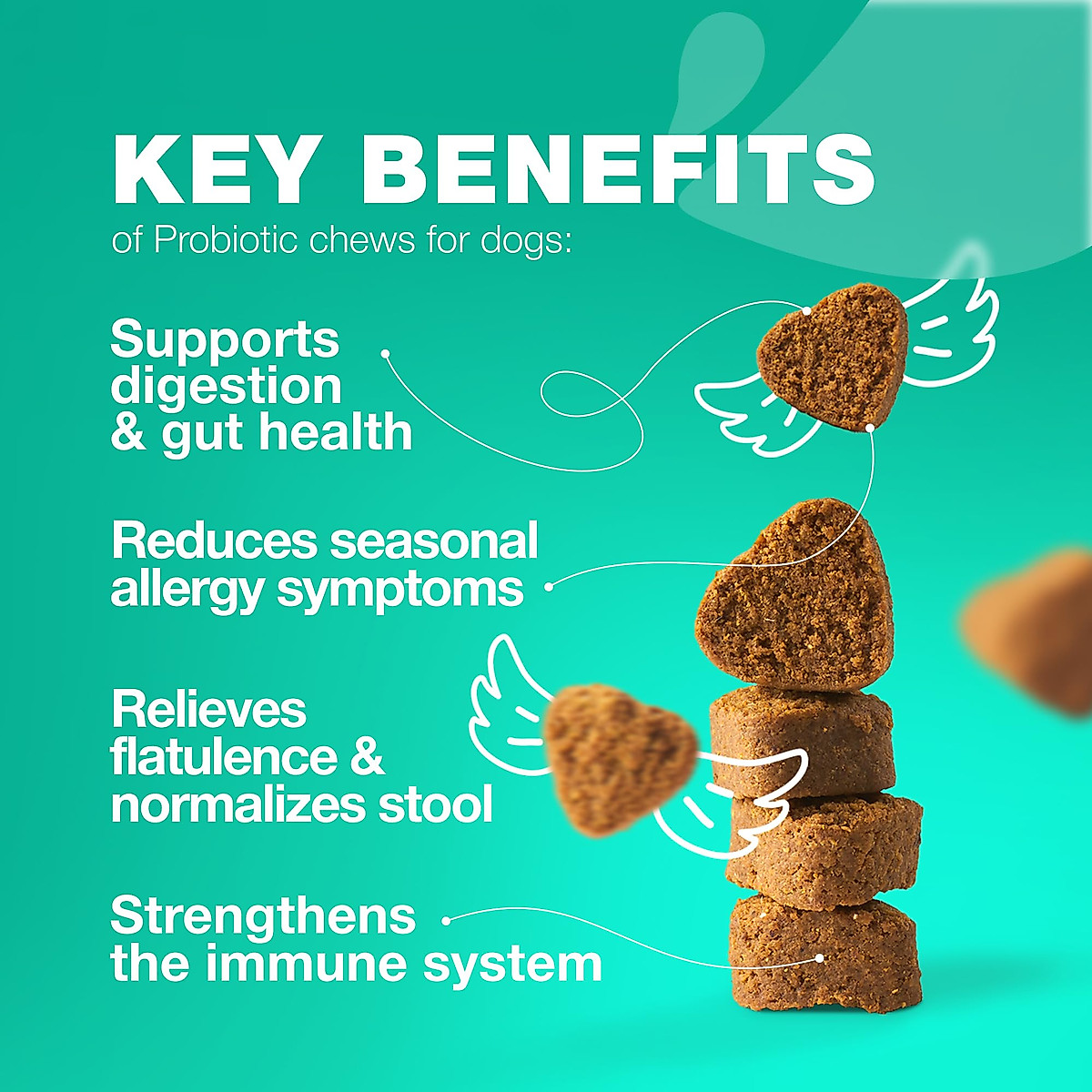 Probiotics for Dogs - Support Gut Health, Immunity, Yeast Balance, Itchy Skin, Allergies - Dog Probiotics and Digestive Enzymes - Coprophagia Deterrent for Dogs - 180 Probiotic Chews for Dogs