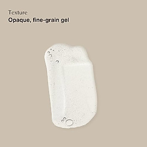 Aesop Reverence Aromatique Hand Wash - Cleanse and Exfoliate the Hands - With Botanical Extracts And Finely Milled Pumice - 16.9 oz