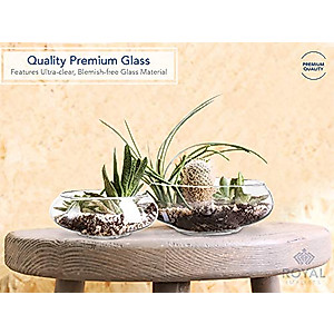 Royal Imports Flower Glass Vase, Bowl Terrarium Succulent Planter, Air Plant Hydroponic Display, Floating Candles Decorative Centerpiece Floral Container for Home or Wedding Set of 2, Clear