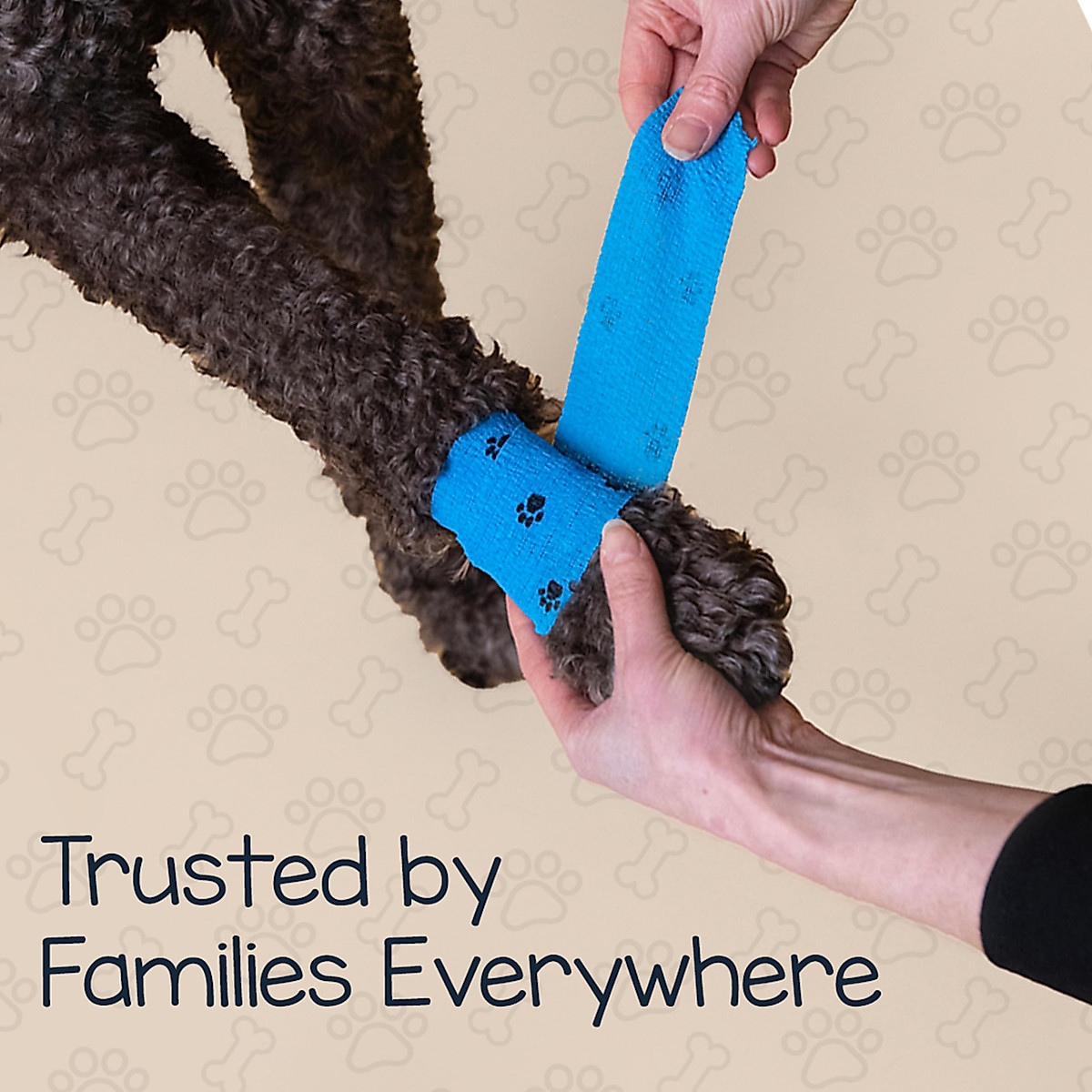 PATCH Eco Pet First Aid Kit for Dogs and Cats. Cat and Dog First Aid Kit with Bandages, Gauze Pads, Tweezers, Scissors, Dog Tick Remover &. Glove. Emergency First Aid Kit for Animals Including Puppy