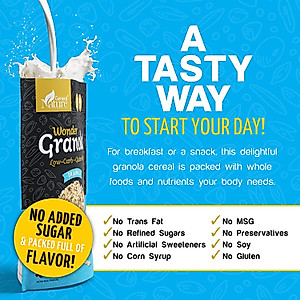 Keto Granola Low Carb - Original Flavor - Keto Cereal Low Carb Cereal - Zero Added Sugar, 3G Net Carbs - Healthy Breakfast Low Carb Keto Nut Granola for Yogurt or Topping - Gluten Free, Vegan & Kosher (Original, 3 Pack)