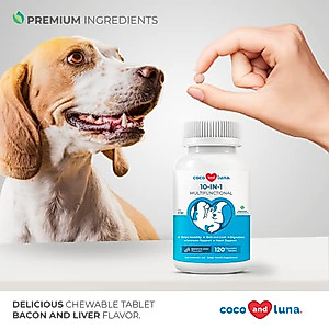 10 in 1 Multivitamin for Dogs - 120 Chewable Tablets - Hip and Joint Support with Glucosamine and Chondroitin - Omega Fish Oil & Vitamins with Coq10 for Skin & Heart Health, Gut & Immune Support