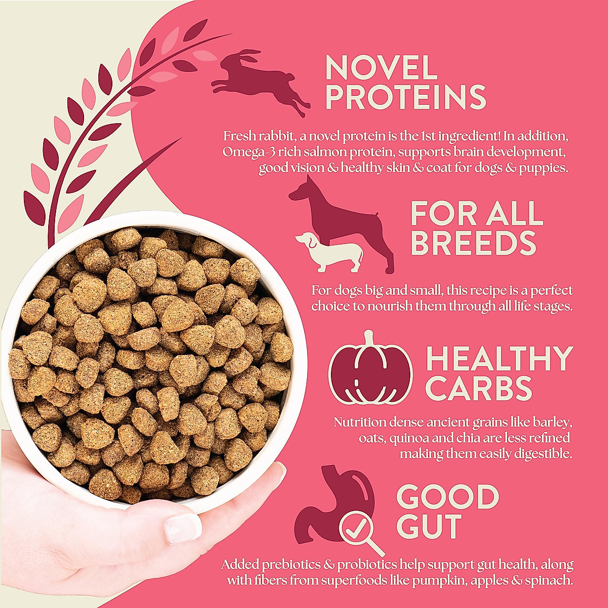 Earthborn Holistic Unrefined Roasted Rabbit with Ancient Grains & Superfoods Dry Food for Dogs & Puppies (25 lb. Bag)