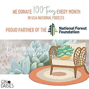 Flower Pillow Succulent Pillow 16" Leaf Pillow | 3D Potted Plant Pillow Plant Plush | Nature Decor Decorative Throw Cactus Pillow | Succulent Gifts Succulent Pillows | Indie Pillow Cute Plant Plushies