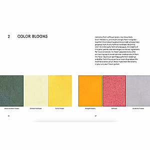 Natural Palettes: Inspiration from Plant-Based Color