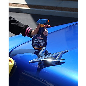 Prolong Super Lubricants PSL64017 Waterless Wash and Shine - 17 oz.