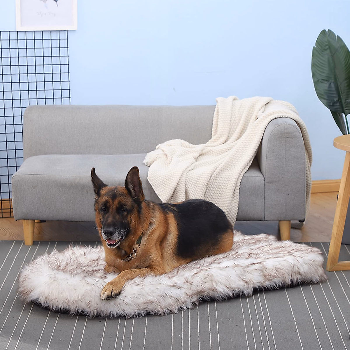 Laifug Luxury Faux Fur Dog Bed，5-inch Thick Grade Ultra Soft Memory Foam Dog Bed with Faux Fur Cover, Plush Orthopedic Dog Bed with Removable Cover，Waterproof Liner（Gray-Brown，White）