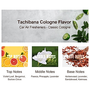 COSLAKE Car Air Freshener in Vent for Tesla Model Y/3 Accessories, Air Fragrance Diffuser Set Includes 6 Long-Lasting Fragrance Sticks + 2 DIY Stick