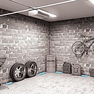 Baited Glue Traps by Catchmaster - 6 Pre-Baited Trays, Ready to Use Indoors. Rat Mouse Snake Exterminator Plastic Sticky Adhesive Easy No-Mess Simple Non-Toxic Disposable - Made in The USA