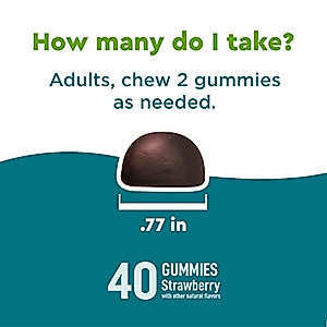 Nature Made Wellblends Stress Relief Gummies, L-theanine to help reduce stress, with GABA, Same Day Stress Support, 40 Strawberry Flavor Gummies