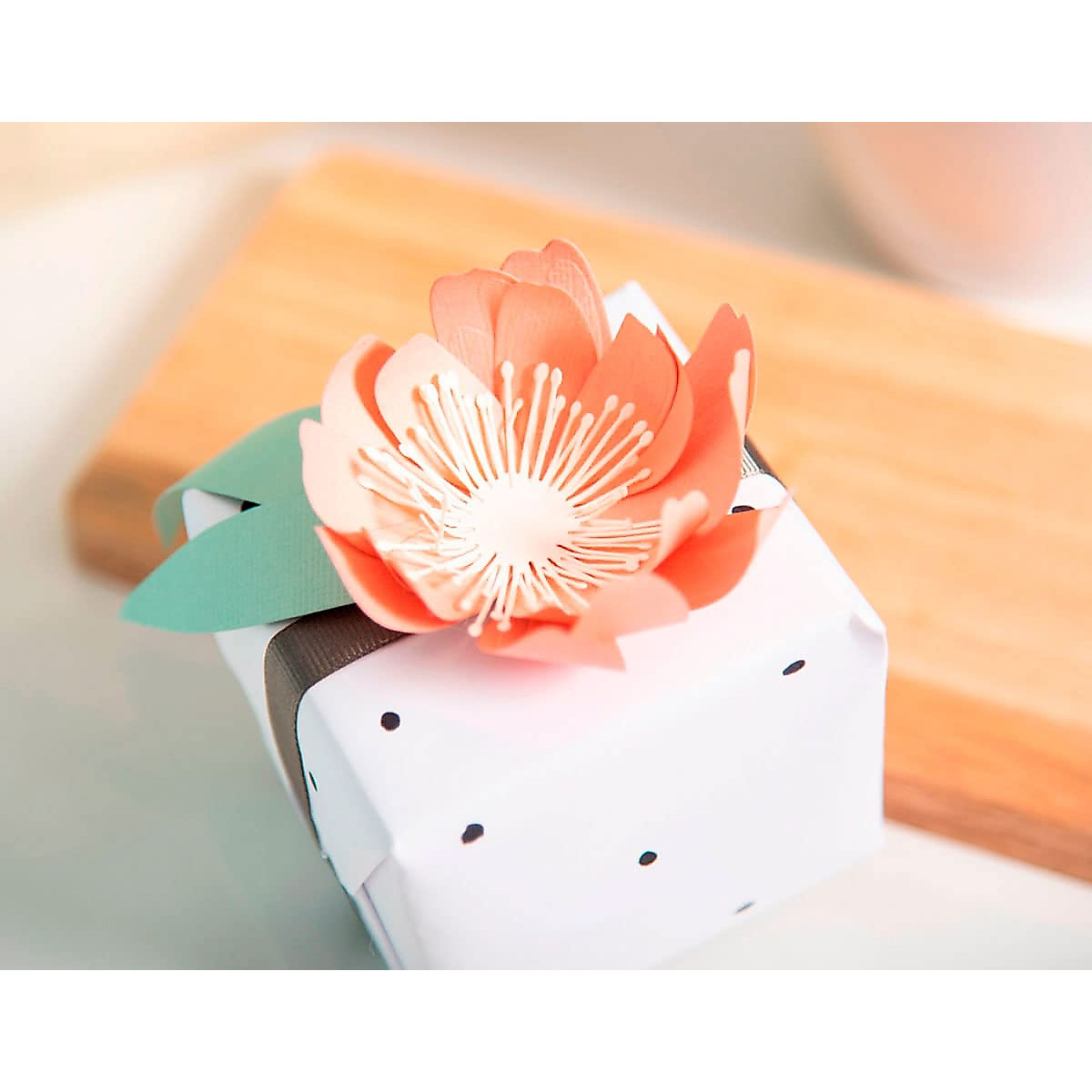 Sizzix Thinlits Die Set 8 Pack Tulip by Jennifer Ogborn, Multicolor