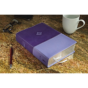 The Amplified Study Bible, Leathersoft, Purple