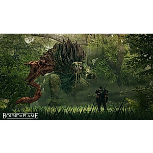 Bound by Flame - PlayStation 4 Standard Edition