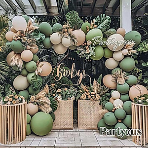 Sage Green Brown Balloon Garland Kit Double stuffed Olive Green Nude Apricot Latex Balloons Pastel Tan Avocado Green Balloon Arch for Jungle Safari Wild One Baby Shower Birthday Party Decoration