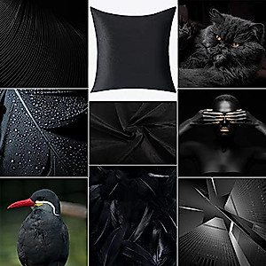 Urbanstrive Not Fade Velvet Soft Solid Decorative Throw Pillow Covers Square Cushion Case for Sofa Bedroom Car 18 x 18 Inch 45 x 45 cm (Black)