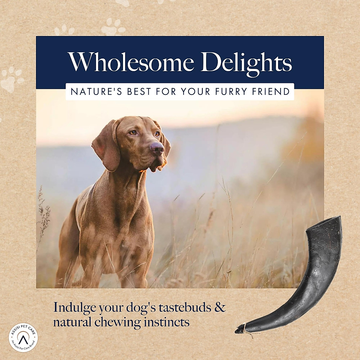 Hollings Buffalo Horn Dog chew Treat, Jumbo