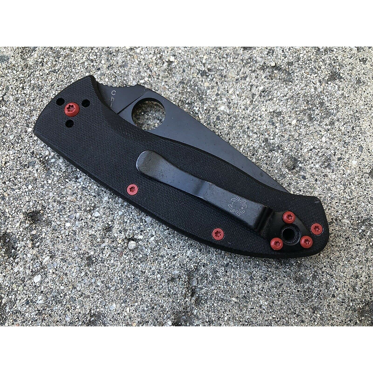 Stainless Steel Screws for Spyderco Ambitious Persistence Tenacious Resilience Pocket Knife