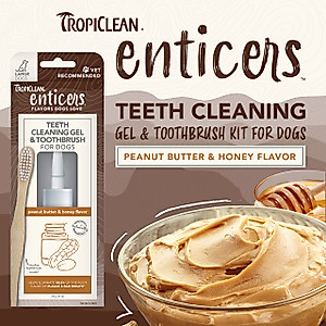 TropiClean Enticers Teeth Cleaning Gel & Toothbrush for Large Dogs | Peanut Butter & Honey Flavor | Bamboo Brush Speeds Up Plaque Removal | Gel Helps Fight Bad Breath | 2 oz