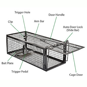 Anyhall 2-Pack Rat Traps Humane Live Mouse Vole Chipmunk Trap Cage for Indoors and Outdoors (Black)