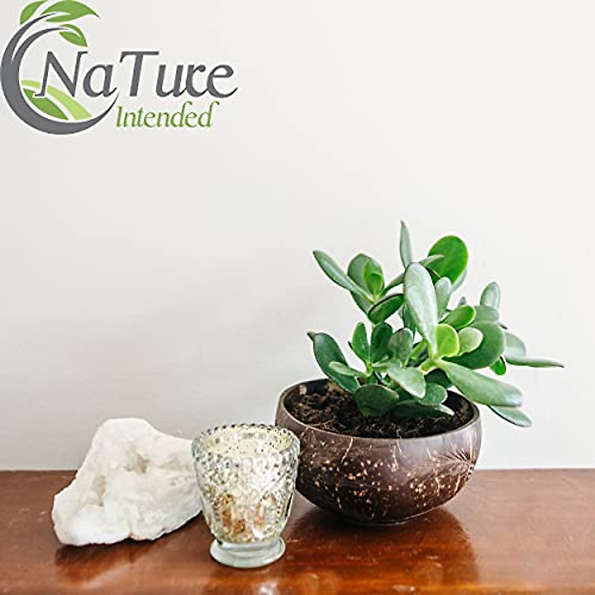 Patterned Jumbo Organic Coconut Bowls with Spoons (coconut bowl), Bamboo Straws, Straw brush and Bamboo Toothbrush (4Pack), Vegan buddha bowl Gifts set. Smoothie bowls, coconut bowls for smoothies.