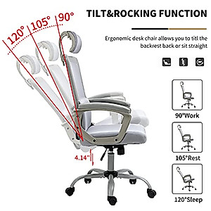 Office Chair, Ergonomic Mesh Desk Chair, High Back Computer Chair with Adjustable Headrest,Lumbar Support, Tilt Function,Swivel Rolling, Soft PU Armrest Task Chair Home Office Desk Chairs, Grey