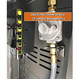 GASPRO 3/8-Inch Natural Gas Quick Connect Hose, Propane to Natural Gas Conversion Kit for Grill, Smoker, Fire Pit, Patio Heater and More, 12 Feet and 24 Feet, 2 Pack