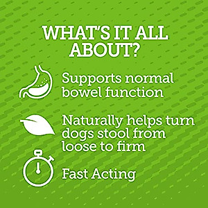 Stop The Runs | Anti Diarrhea Chewables | 6 Count