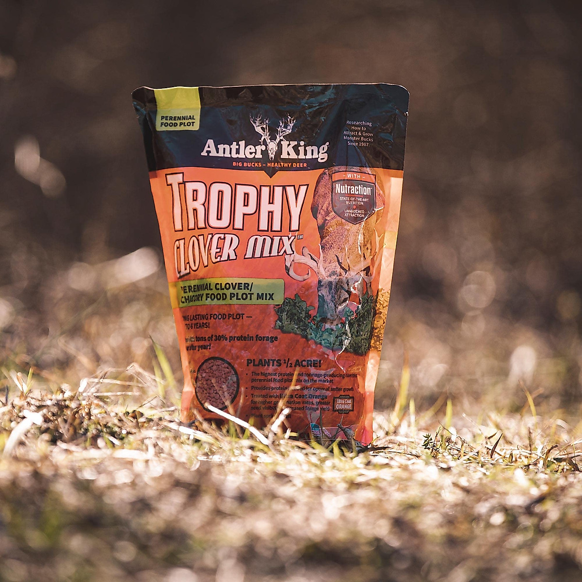 Antler King Trophy Clover Mix