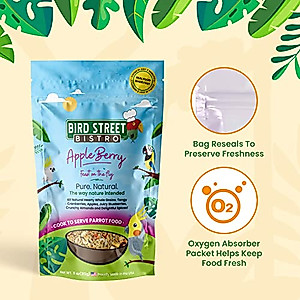 Bird Street Bistro Parrot Food Sample 4 Pack - Parakeet Food - Cockatiel Food - Bird Food - Cooks in 3-15 min w/Natural & Organic Grains - Healthy, Non-GMO Fruits, Healthy Orientated Spices