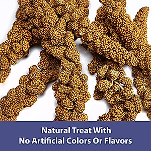 Kaytee Spray Millet Treat for Pet Birds, 7 Ounce