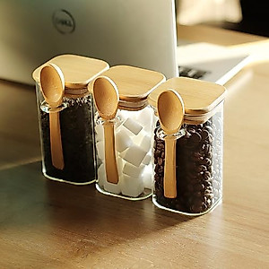 SAIOOL Glass Jars Set of 3 * 15 OZ-Food Storage Containers Clear Kitchen Canister with Bamboo Spoon Airtight For Serving Candy,Coffee Tea, Flour, Sugar, Cookie, Cereal(Square