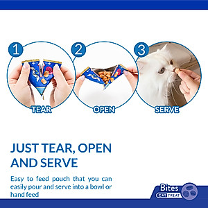 INABA Churu Fun Bites for Cats, Soft & Chewy Baked Chicken Wrapped Filled Cat Treats with Taurine, 0.42 Ounces Each Tetra, 18 Tetras (3 per Bag), Chicken Recipe