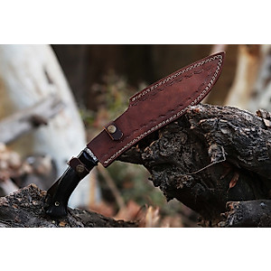 12.5 Inch long Hunting knife, Collectible knife, Natural Camel bone scale embellished with engraved brass finger guard, foil work spacer and pommel, Hand forged Twist pattern Damascus steel blade, Comes with Leather sheath